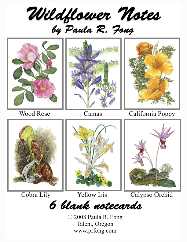 Wildflower Notes Label | Paula Fong Illustrations